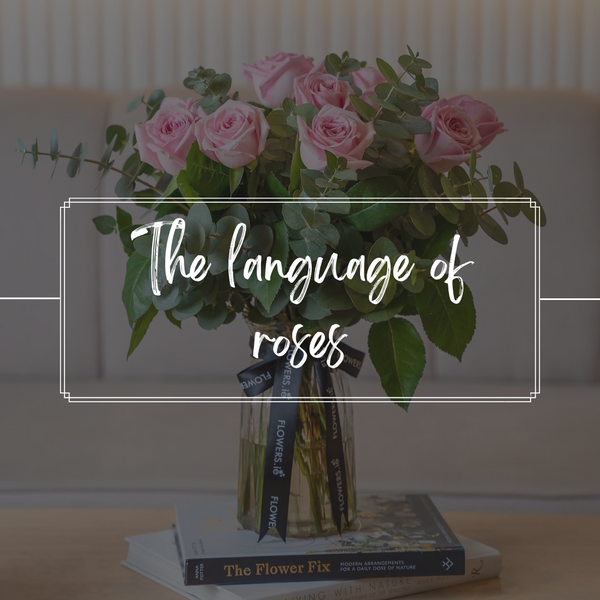 The Secret Language Of Roses – Flowers.ie