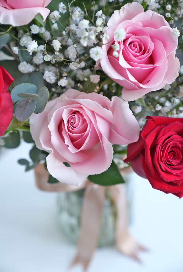 Valentine 12 Luxury Red and Pink Roses - Vase– Flowers.ie