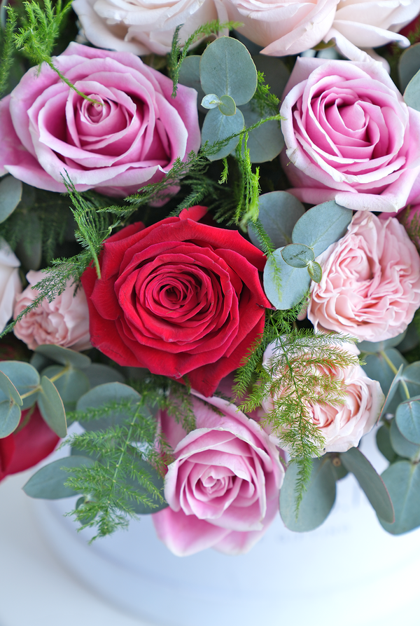 Valentine 24 Luxury Red and Pink Roses - Hatbox– Flowers.ie